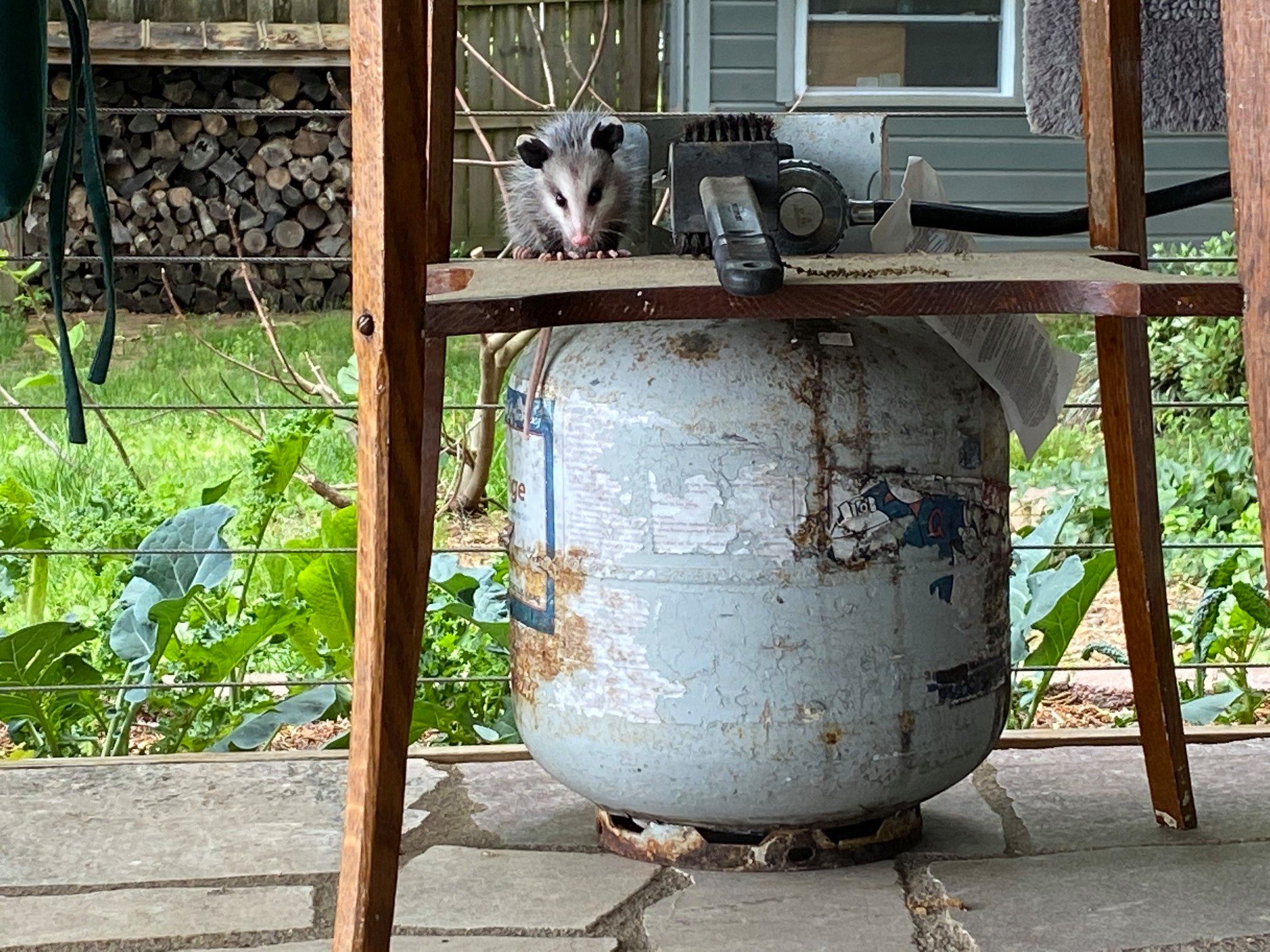 Embodying Resilience - Acceptance and Integration Training®